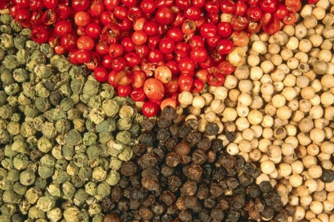 Phu Quoc pepper: Discover the unique pepper of Vietnam