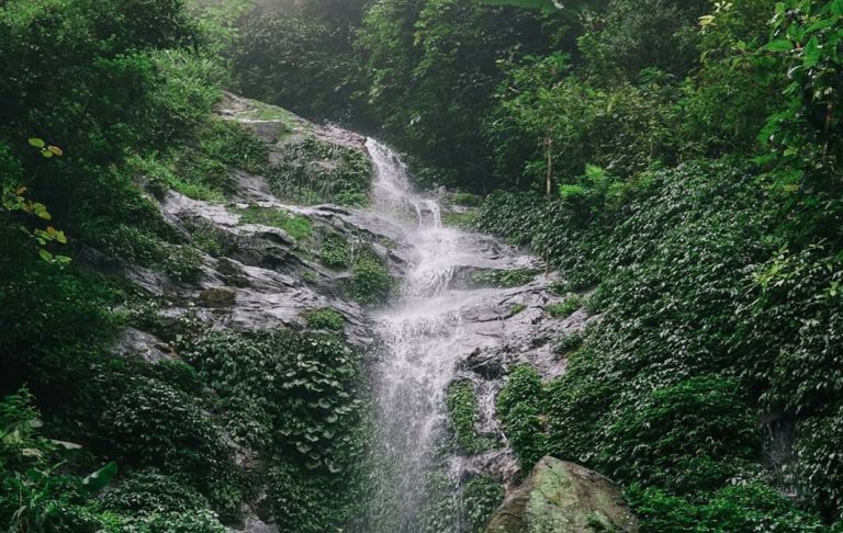 Ba Vi National Park: The Perfect Hideaway Near Hanoi