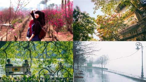 Hanoi Weather In A Nutshell: The Best Time To Travel