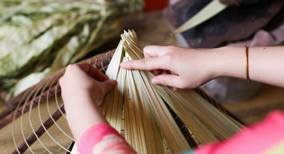 Non La Vietnam (Conical Hat): A National Cultural Icon