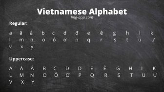 Vietnamese Language: Origin, Features, and Diversity