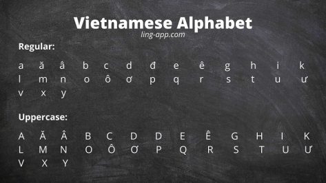 Vietnamese Language: Origin, Features, and Diversity