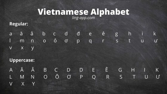 Vietnamese Language: Origin, Features, and Diversity