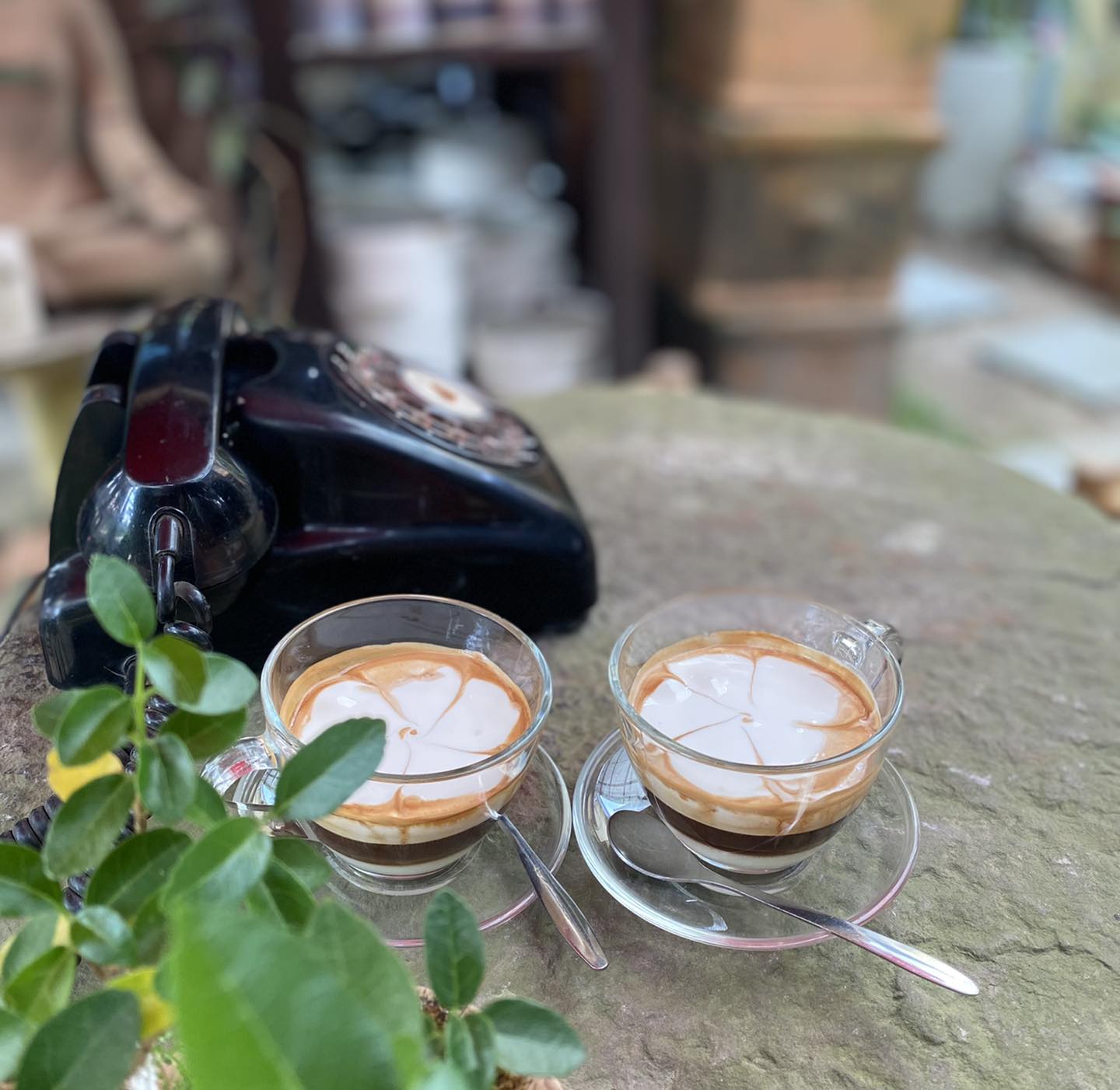 15+ Quán cà phê muối thơm ngon nổi tiếng từ Bắc vào Nam