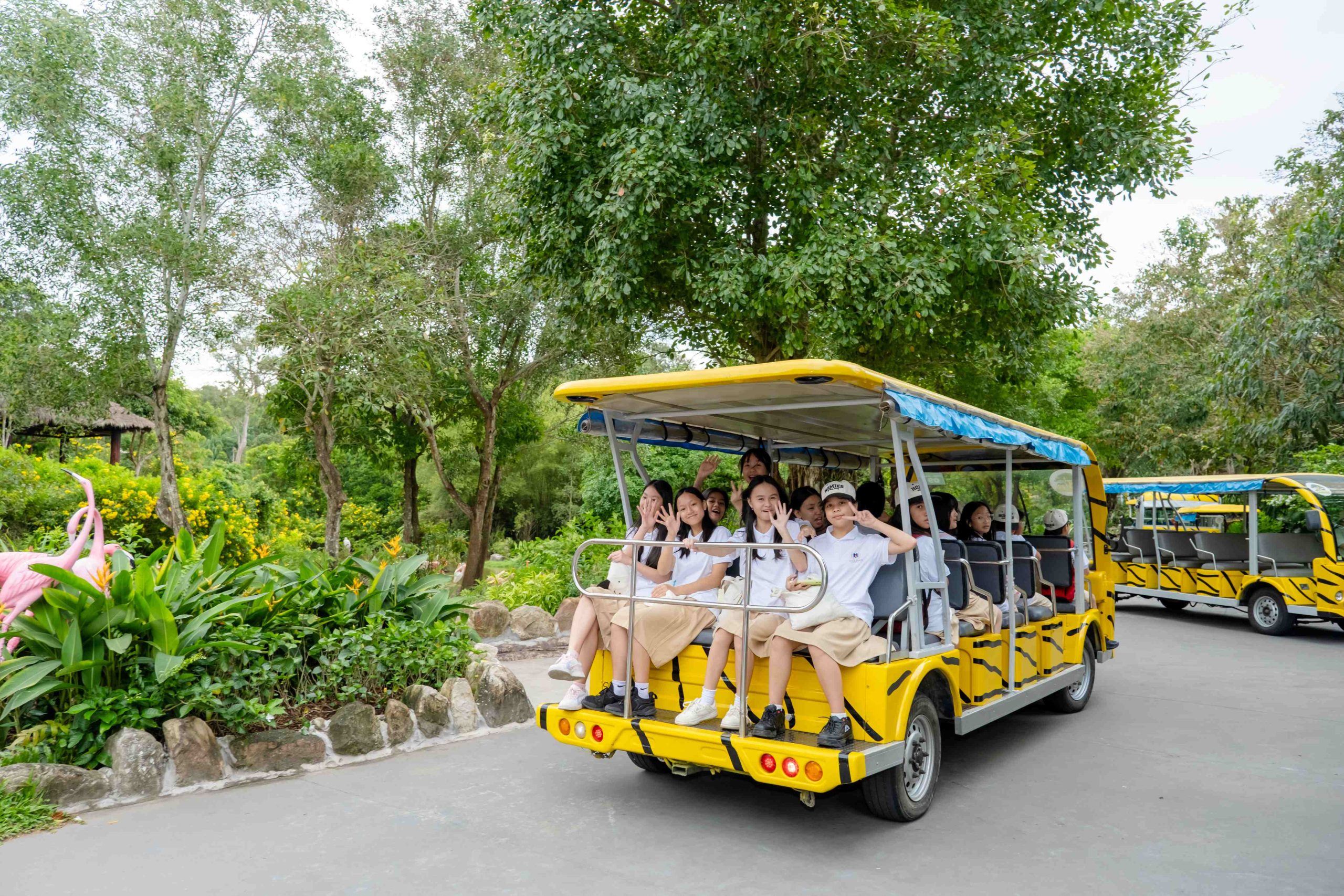 [Exclusive Online] Afternoon Vip Zoo Tour at Vinpearl Safari Phu Quoc