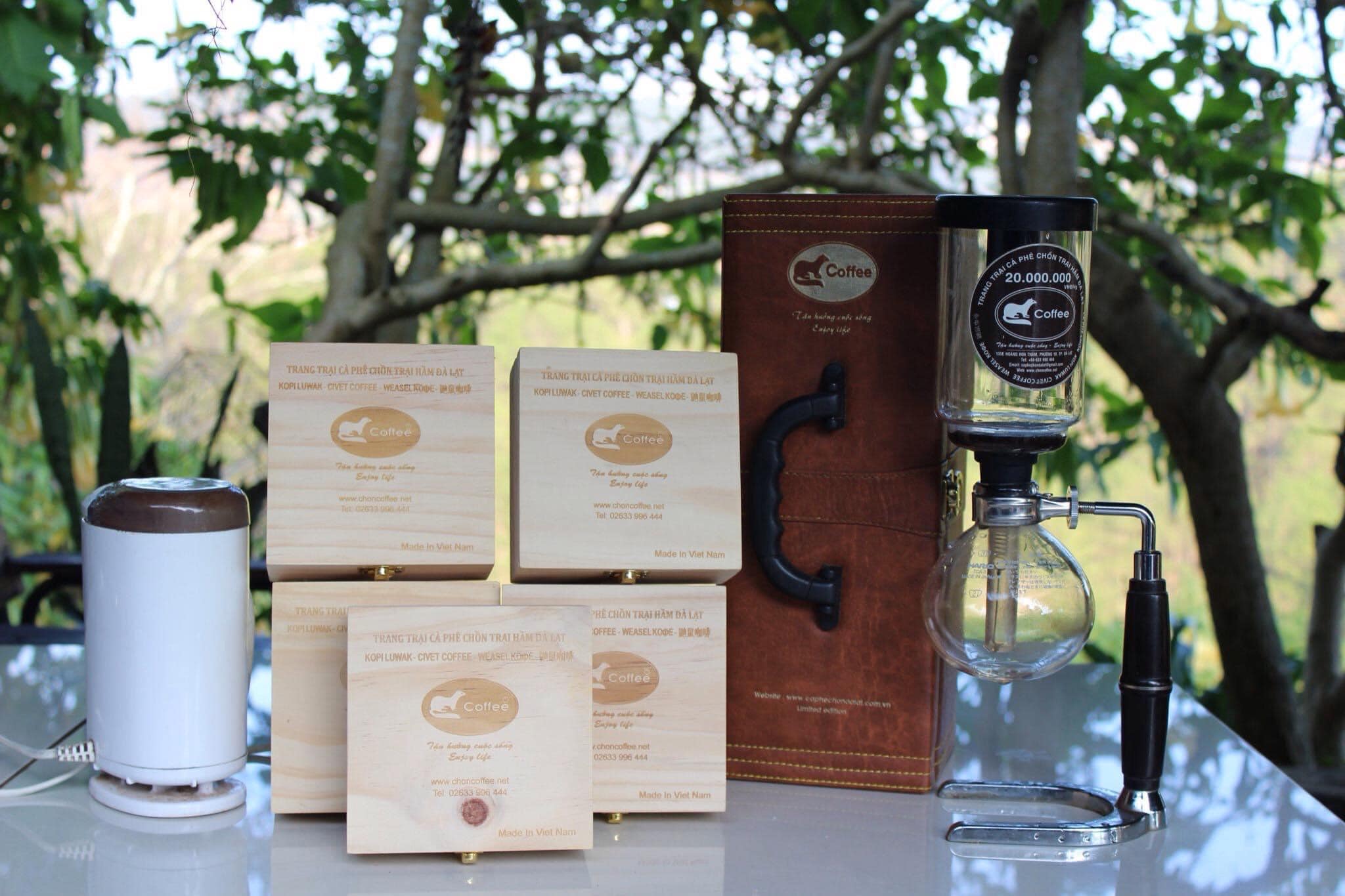Weasel Coffee Farm Dalat: A Must-Visit for Coffee Lovers