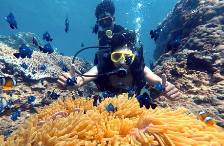 Con Dao Diving: Explore best-kept underwater secrets