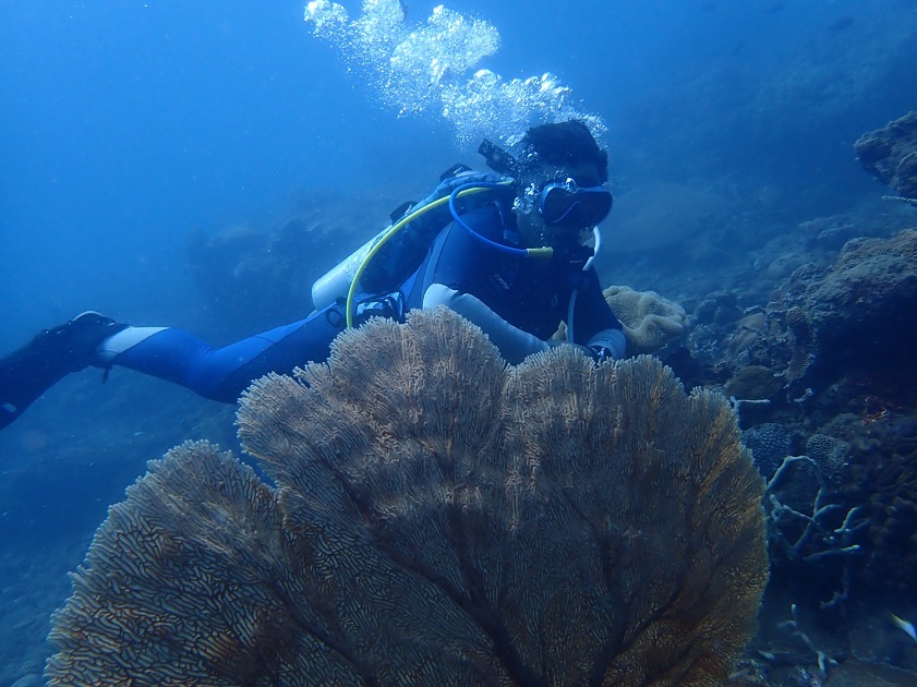 Con Dao Diving: Explore best-kept underwater secrets