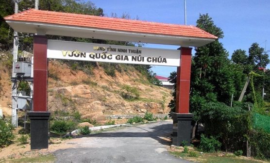 Nui Chua National Park: A nature lover's dream in Vietnam