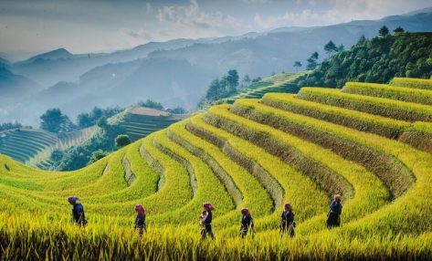 Vietnam village life: Guide to exploring the local routines