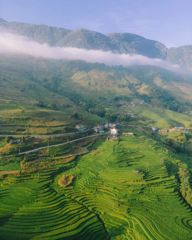 Vietnamese rice paddies: Admire 13 charming places
