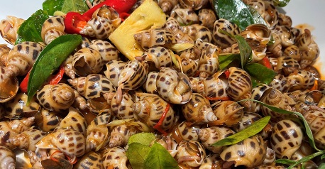 Vietnamese snail dishes: A must-try Vietnamese food