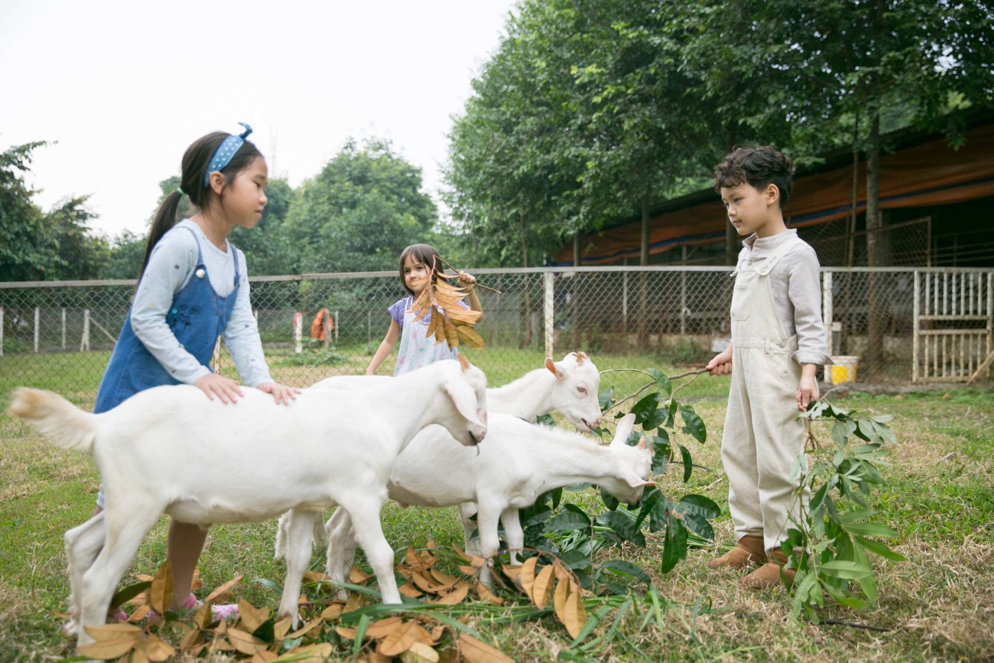 Ba Vì có gì chơi? 15+ địa điểm nổi tiếng thu hút du khách