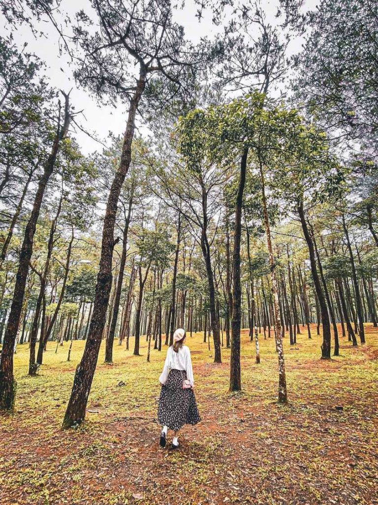 Ba Vi National Park: The Perfect Hideaway Near Hanoi