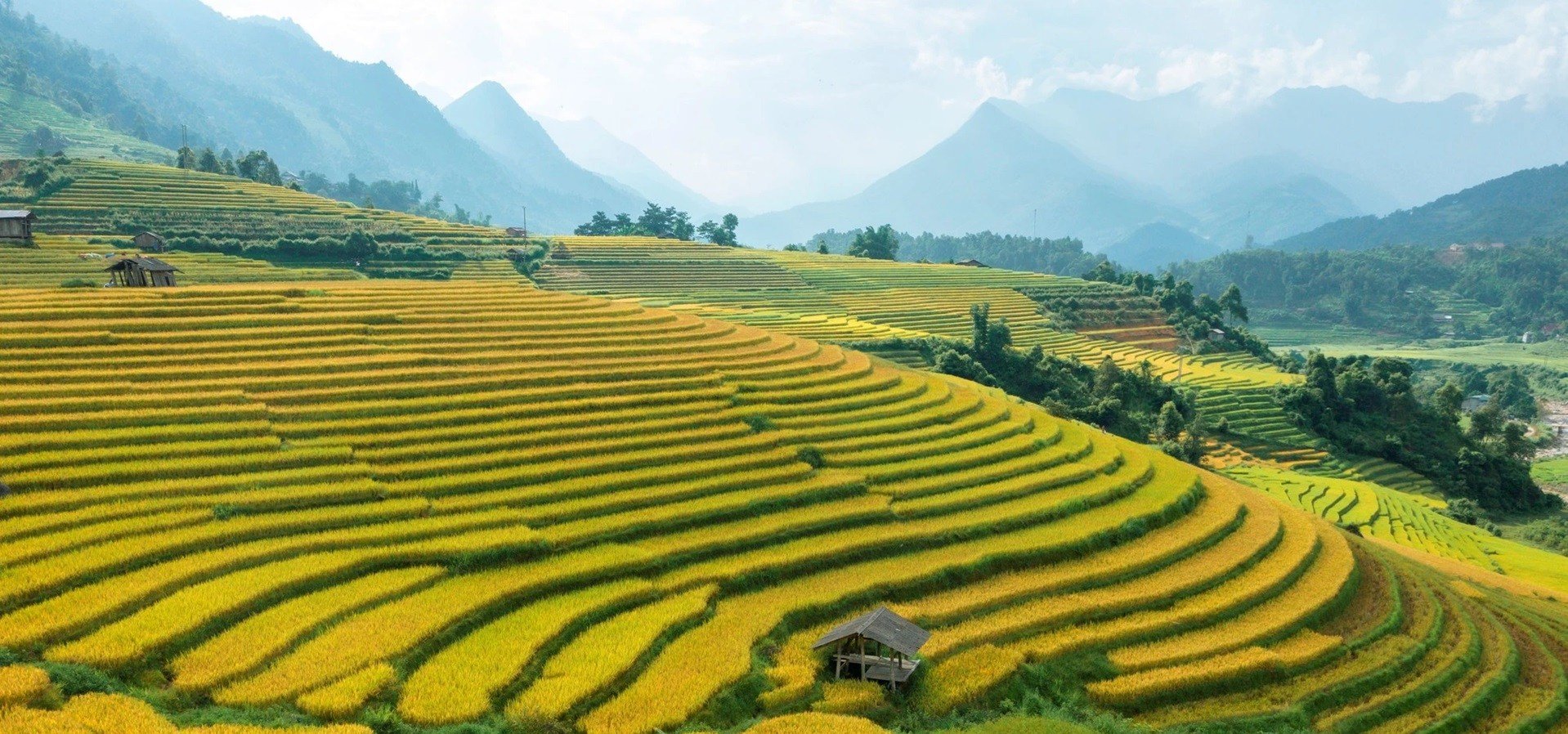 The best time to visit Sapa rice fields and other tips