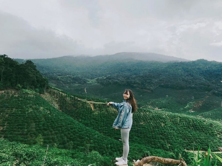 Du lịch Di Linh tự túc: Kinh nghiệm di chuyển & ăn chơi