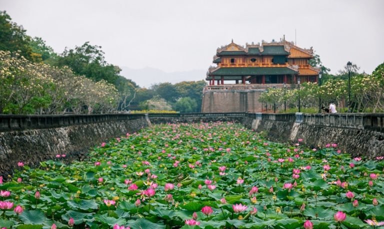 Facts about Vietnam: 25+ FASCINATING reasons to visit