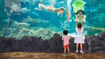 Gò Đống Đa: Di tích lịch sử hào hùng, bất khuất ở Hà Nội