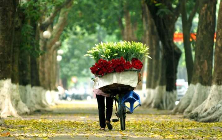 Hanoi weather by month: Temperatures, rainfall & other info