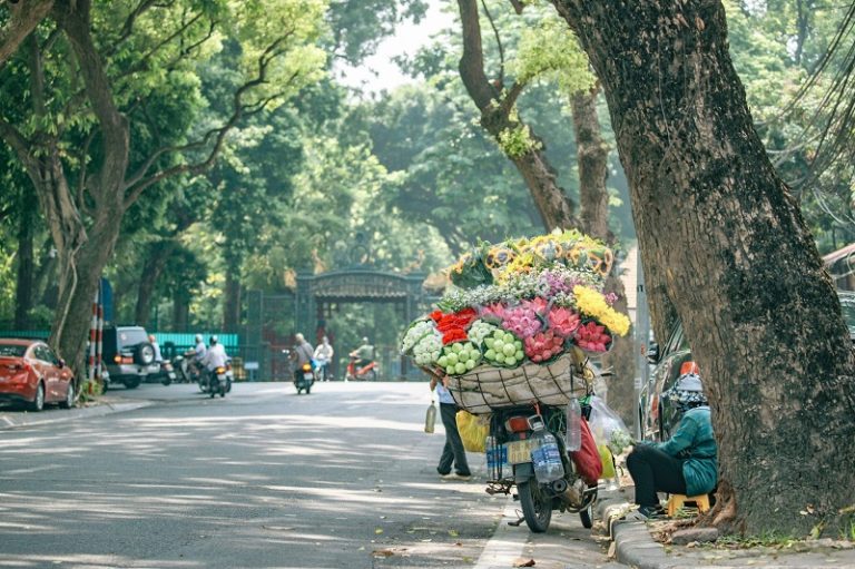 Hanoi weather by month: Temperatures, rainfall & other info