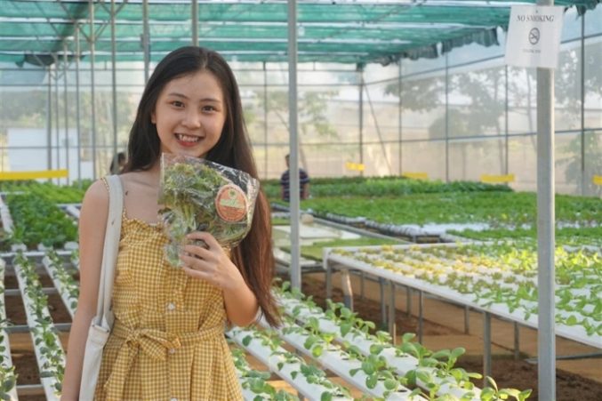 Cao nguyên Vân Hòa Phú Yên có gì? Gợi ý 11 tọa độ thú vị