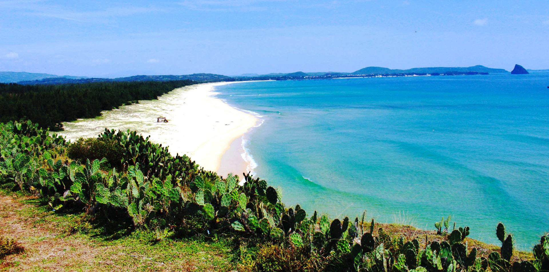 Phu Yen Beaches: Uncover stunning tropical paradises