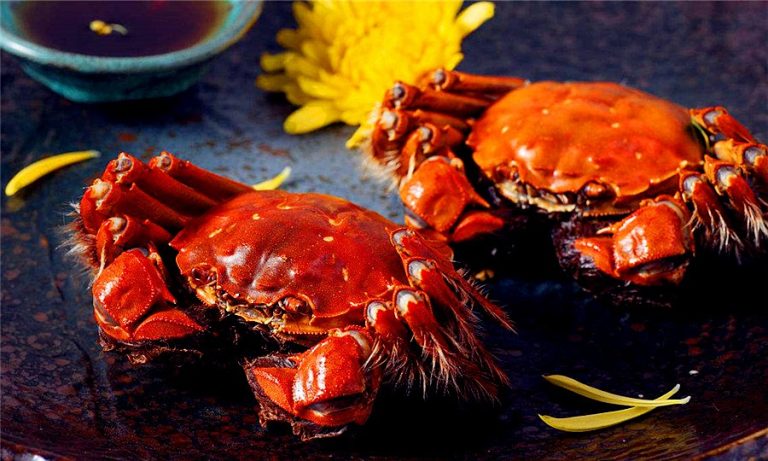 Mid-Autumn Festival foods: Iconic dishes for a festive vibe