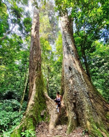 Vietnamese jungles: 9 fascinating getaways for nature lovers