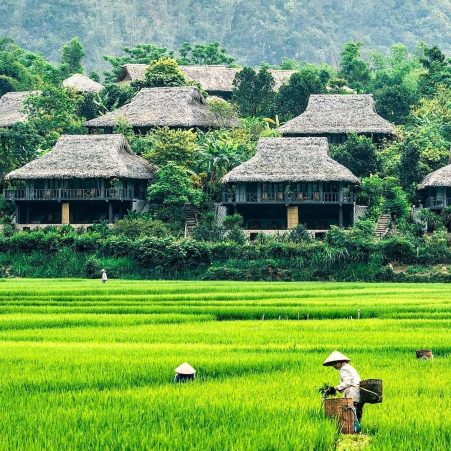 Vietnam rural areas: The BEST guide for tranquil escapes