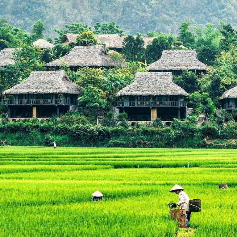 Vietnam rural areas: The BEST guide for tranquil escapes