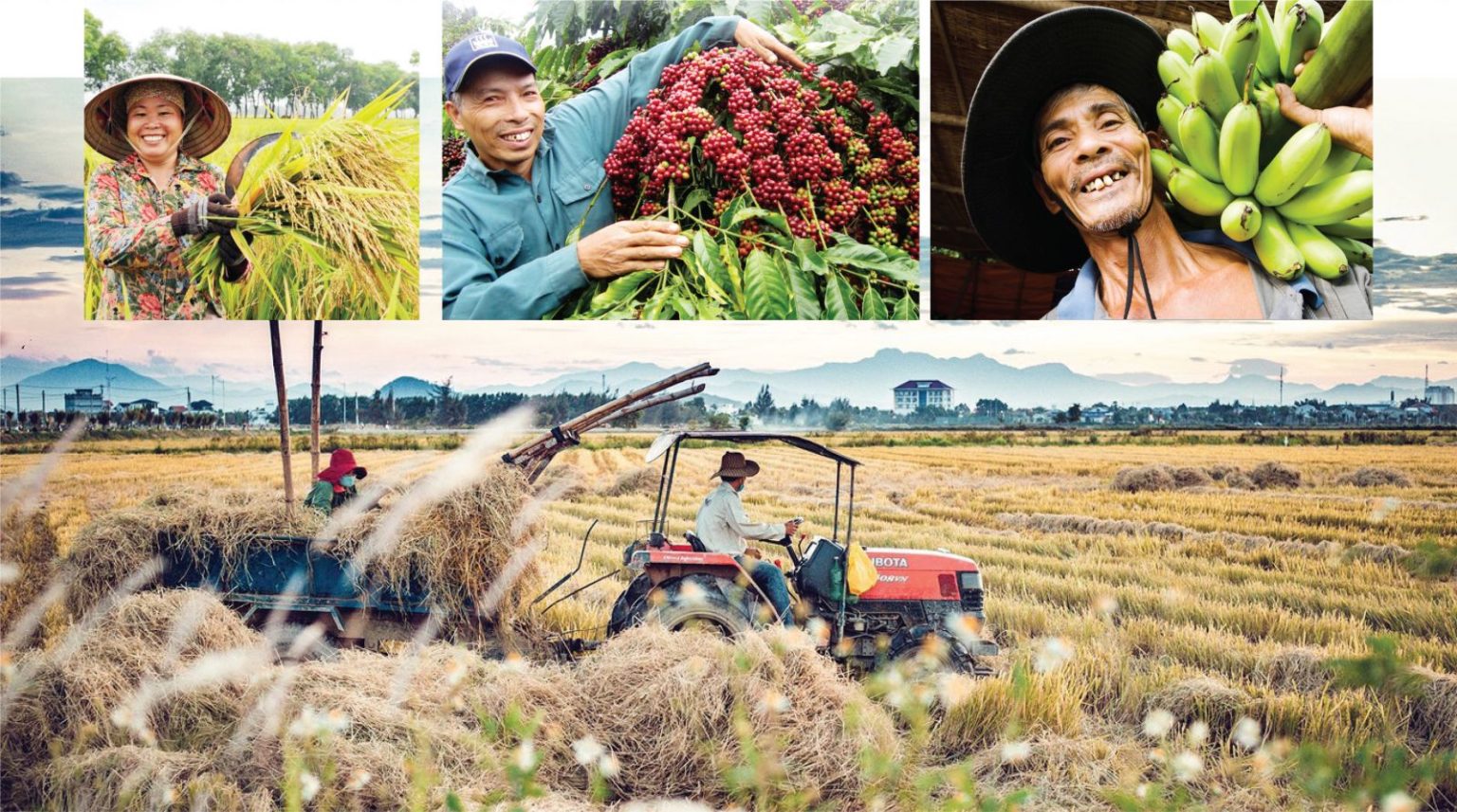 Vietnamese People and Their Characteristics: What To Know