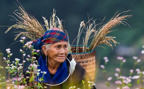 Vietnamese People and Their Characteristics: What To Know