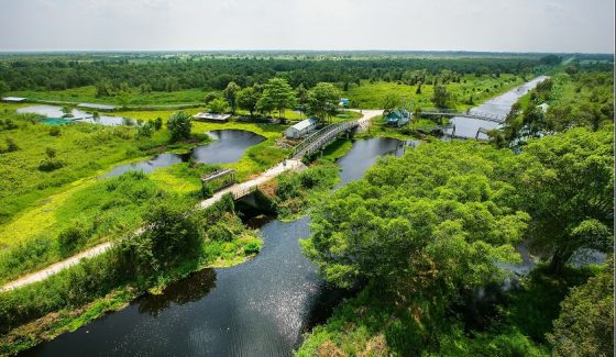 Vườn Quốc gia U Minh Thượng - Kinh nghiệm khám phá A-Z